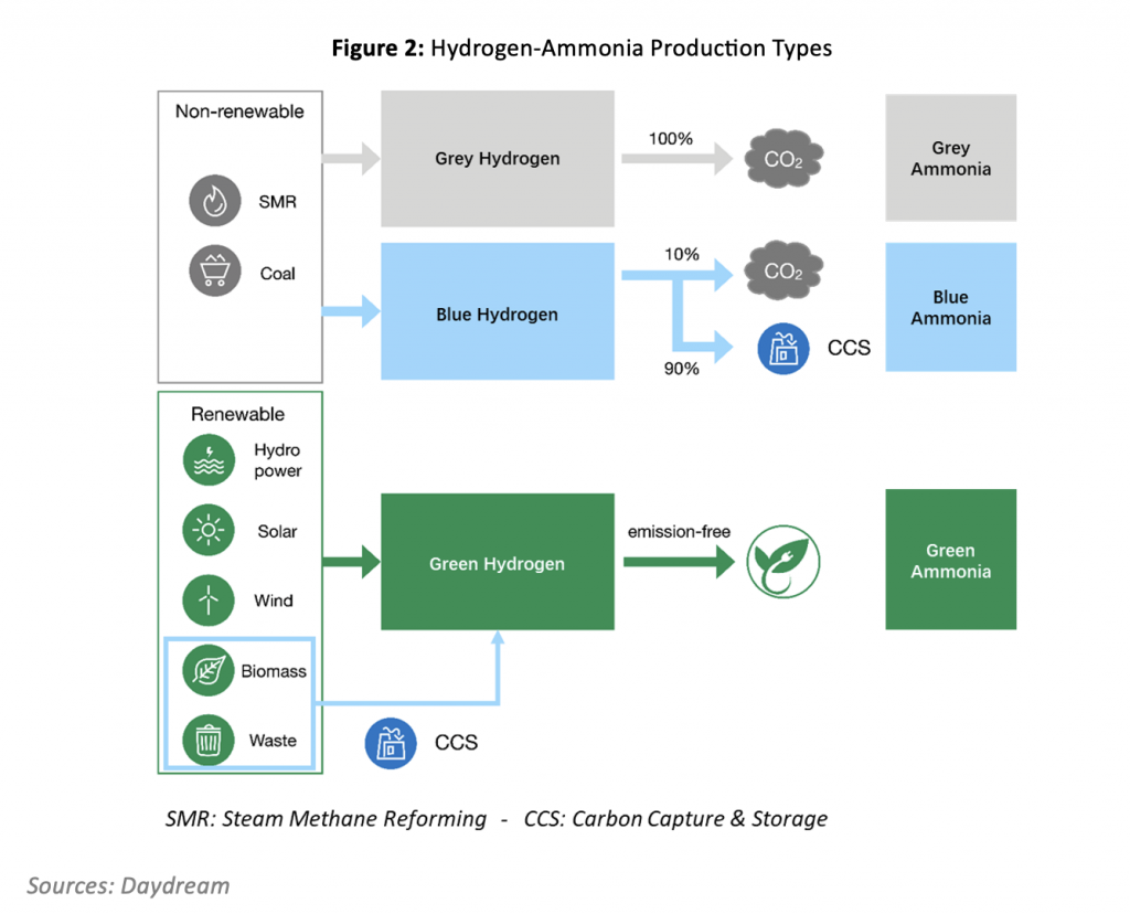 The Solution for Carbon Neutralization—Green Ammonia? - Daydream ...
